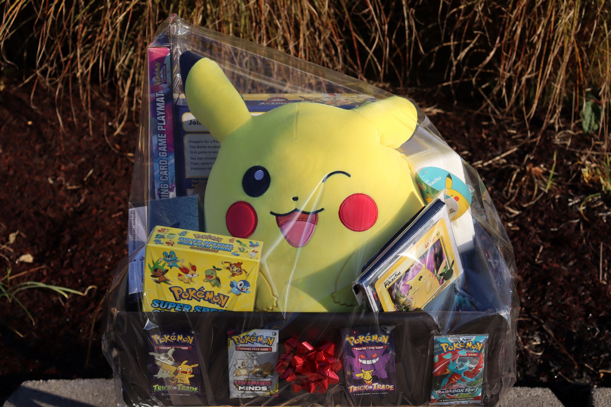 Pokemon-Basket | Buchanan County Public Library
